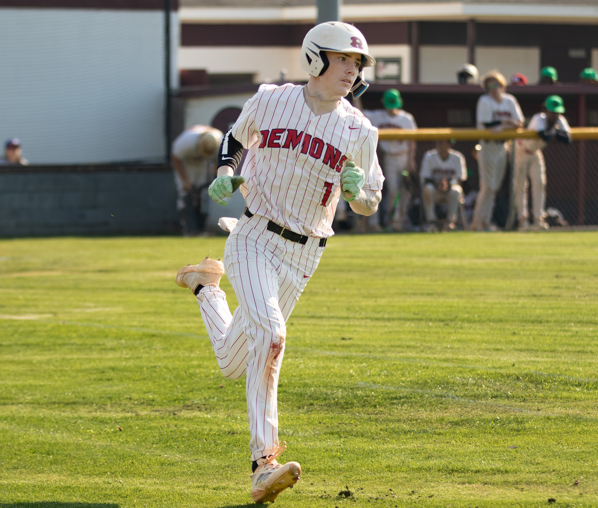 Baseball Roundup: Houston County wins fifth region championship in six ...