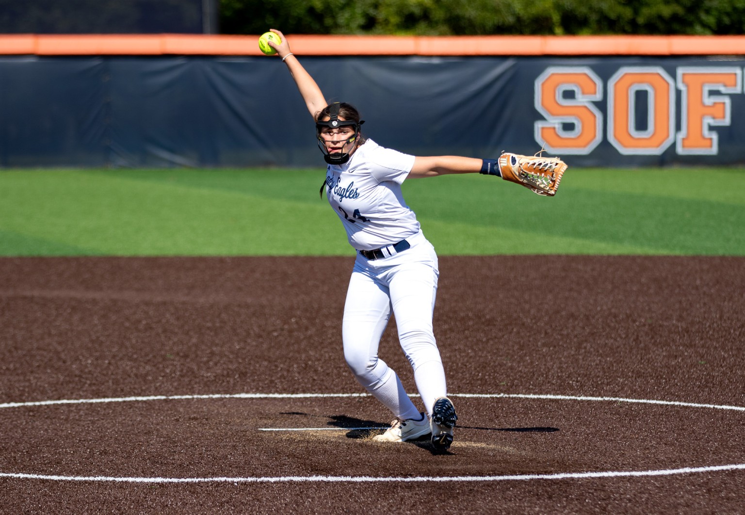 Houston County softball sweeps Northside despite contested Game 3 ...