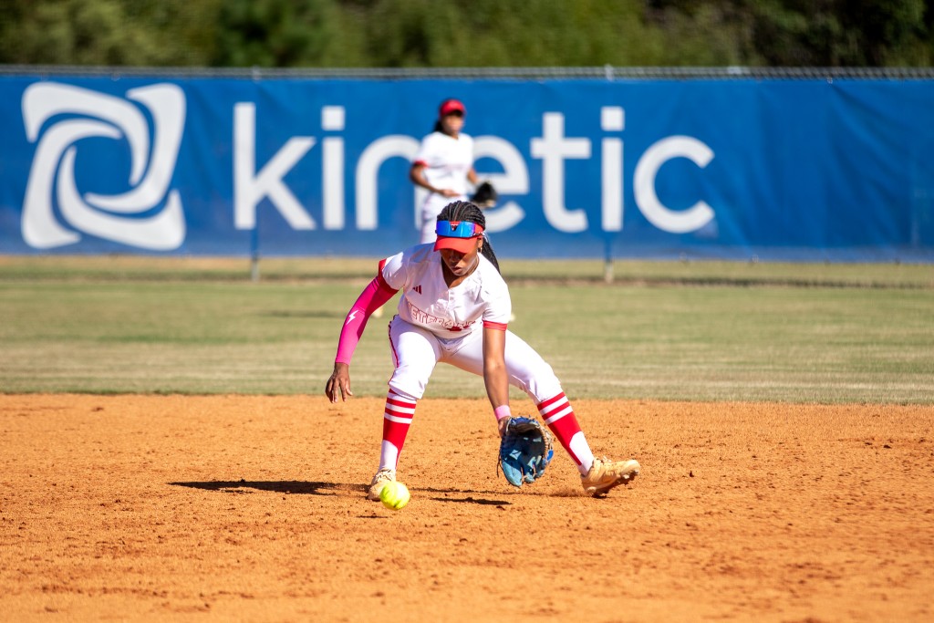 Softball Roundup: Two Houston County teams headed to Columbus to fight ...