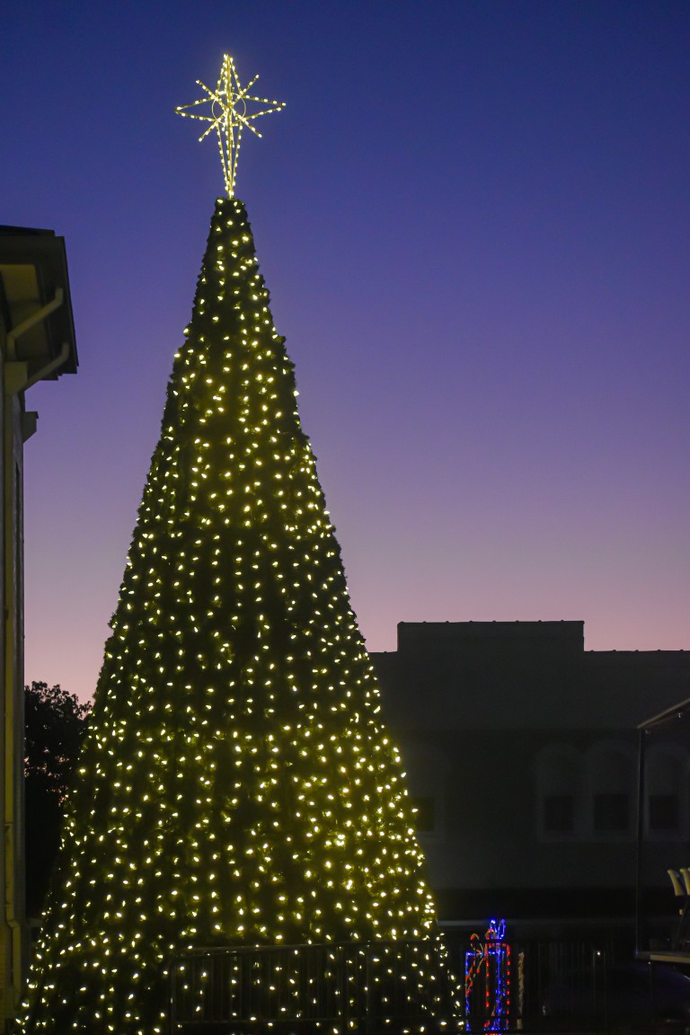 Small Business Saturday and Tree Lighting Ceremony happening this ...