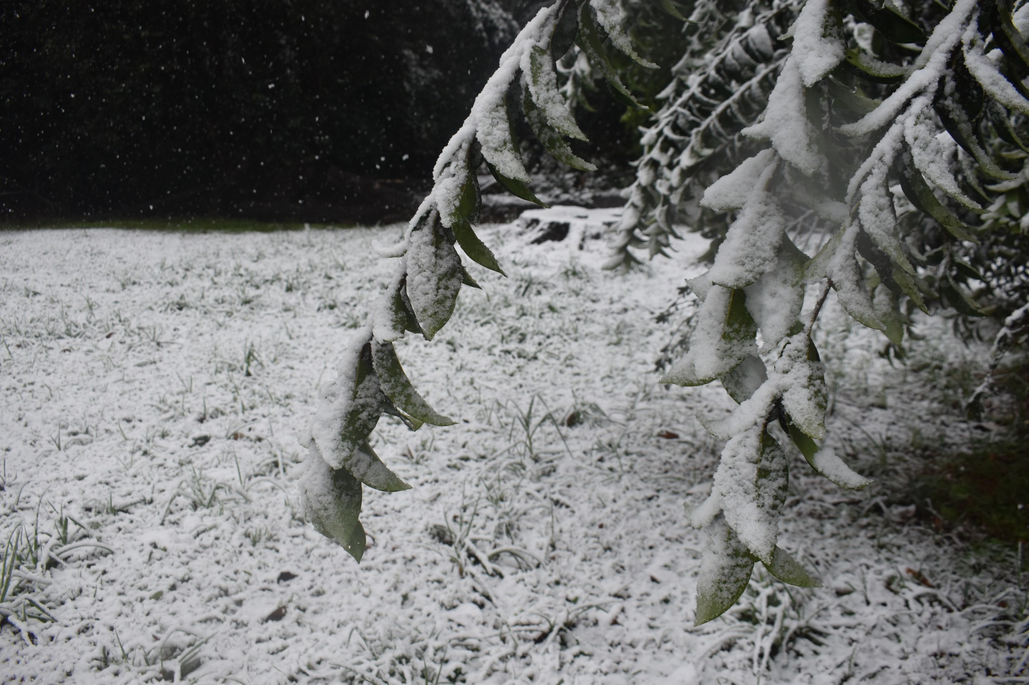 HEMA Director responds to recent snowfall, previews potential severe ...