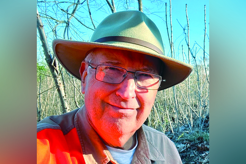 Bluebirds thrive in Middle Georgia – Houston Home Journal