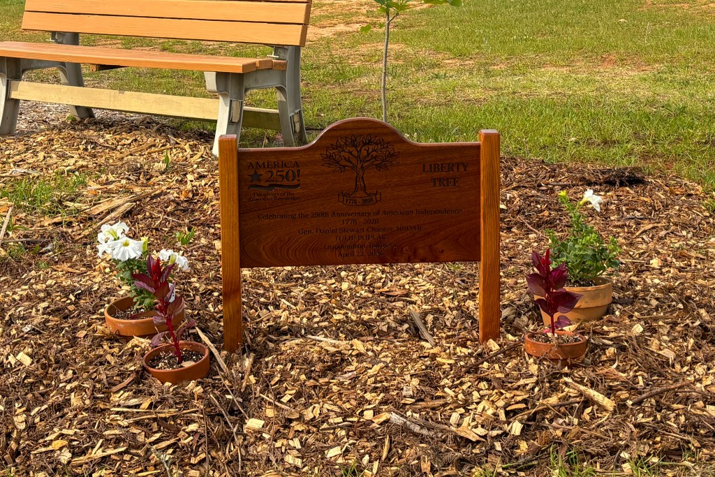 Local DAR Chapter unveils location of Liberty Tree on Earth Day ...